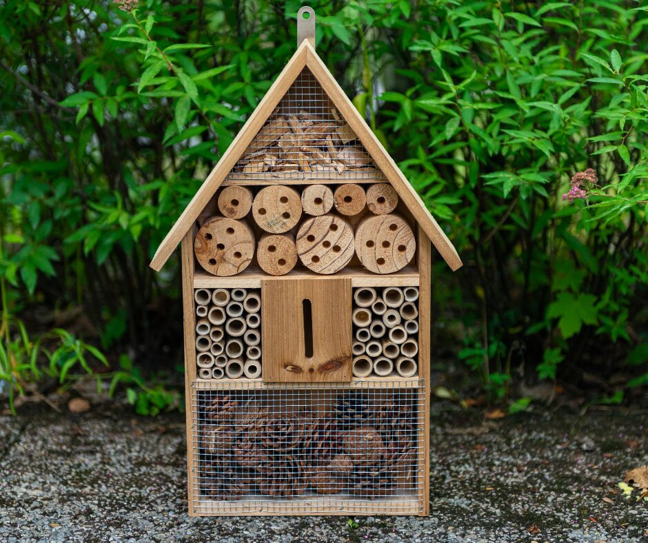 Maison à insectes DIY : tutoriel simple pour votre jardin